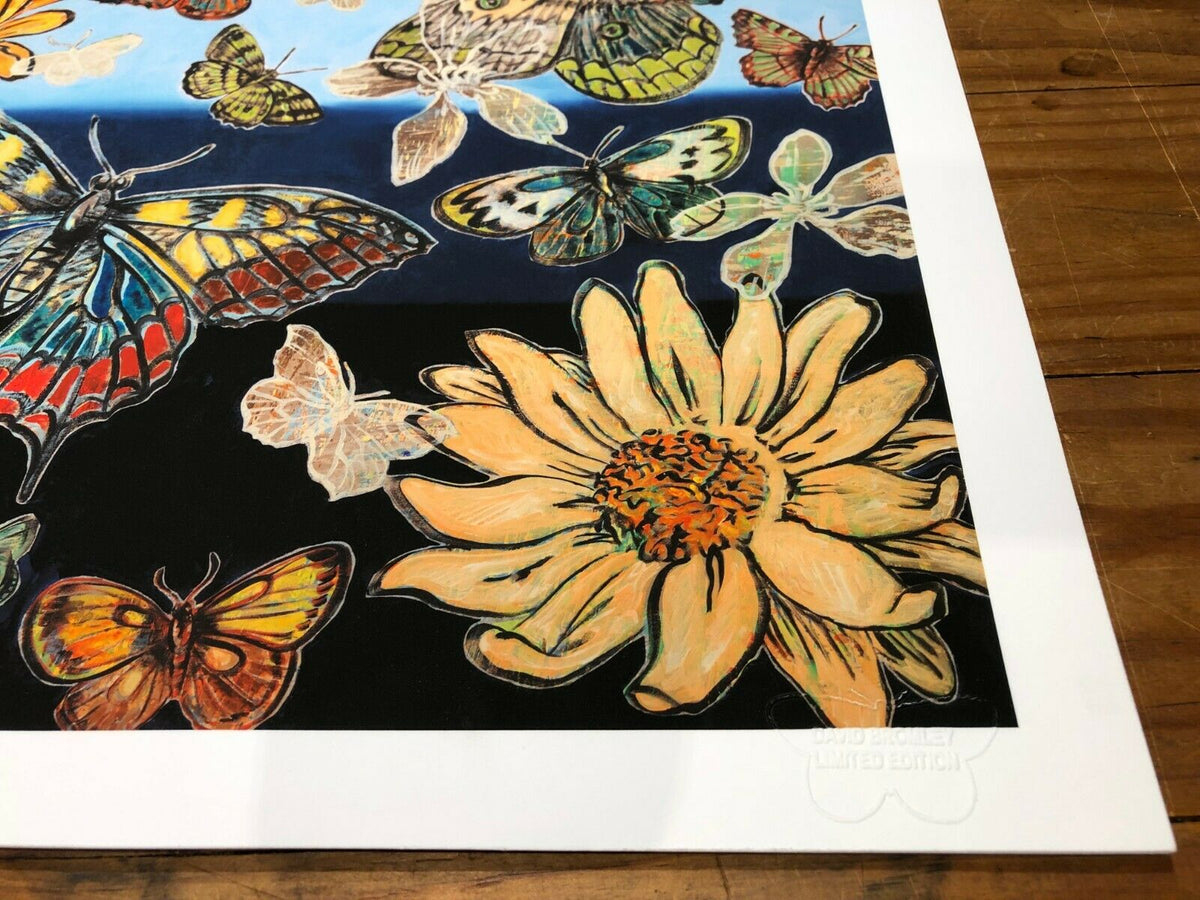 DAVID BROMLEY "Butterflies I" Printers Proof Print PP 28cm x 35cm ...